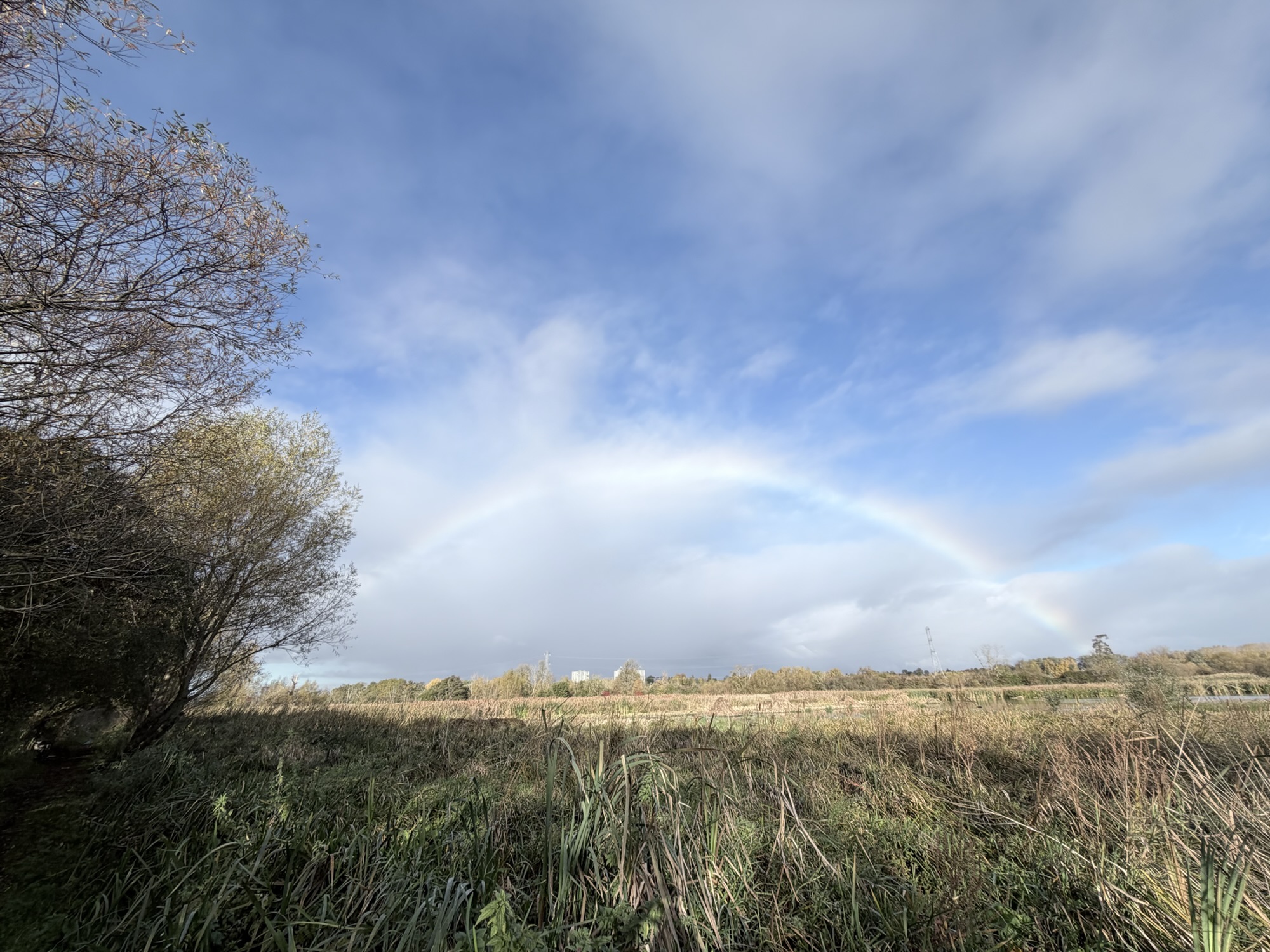 Marshian celebrations – Rural Reading
